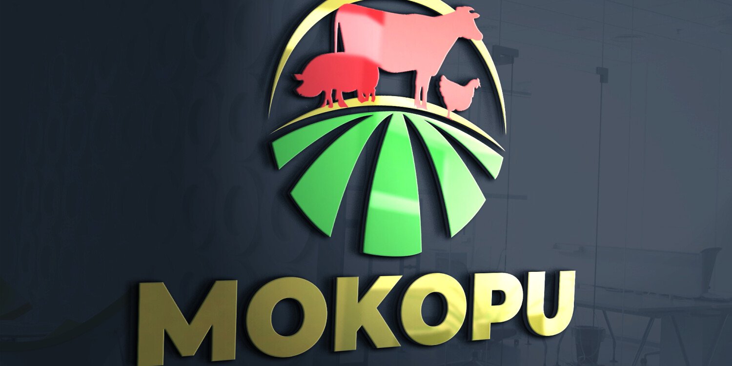 mokopu comedy show - makarapa welcome home - Computicket BoxOffice