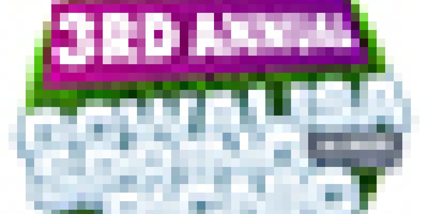 Gcwalisa Spring Picnic all white 3rd Annual - Computicket BoxOffice