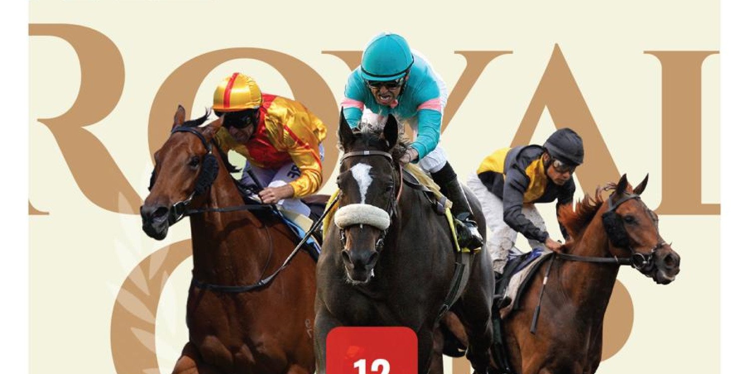 The Royal Cup 2024 - Computicket BoxOffice