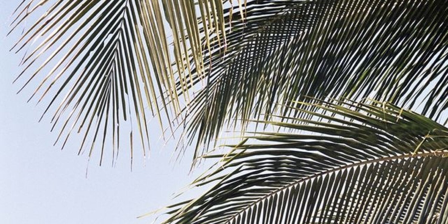 THE FONQUE FEST - Computicket BoxOffice